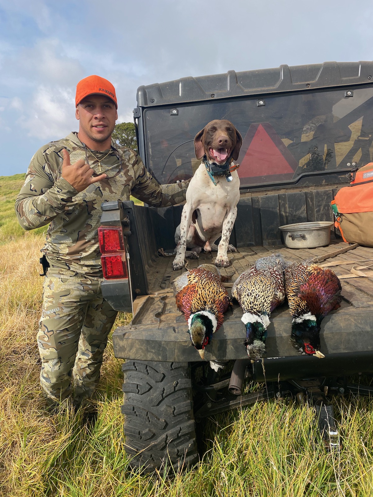 Man’s best friend helps during game bird hunting season | News, Sports ...